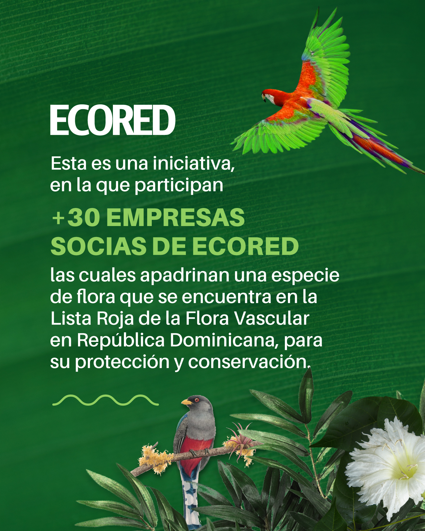 Fuente: Día Internacional de la Diversidad Biológica | Naciones Unidas